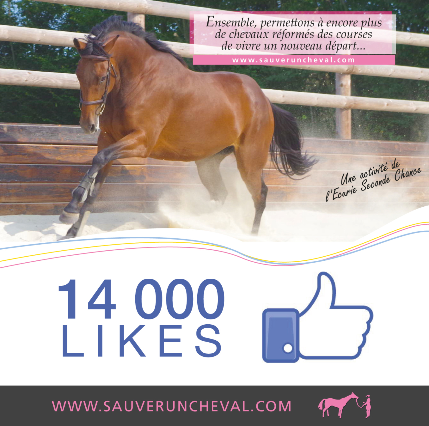 14000 LIKES sur Facebook : merci pour votre soutien aux chevaux ...